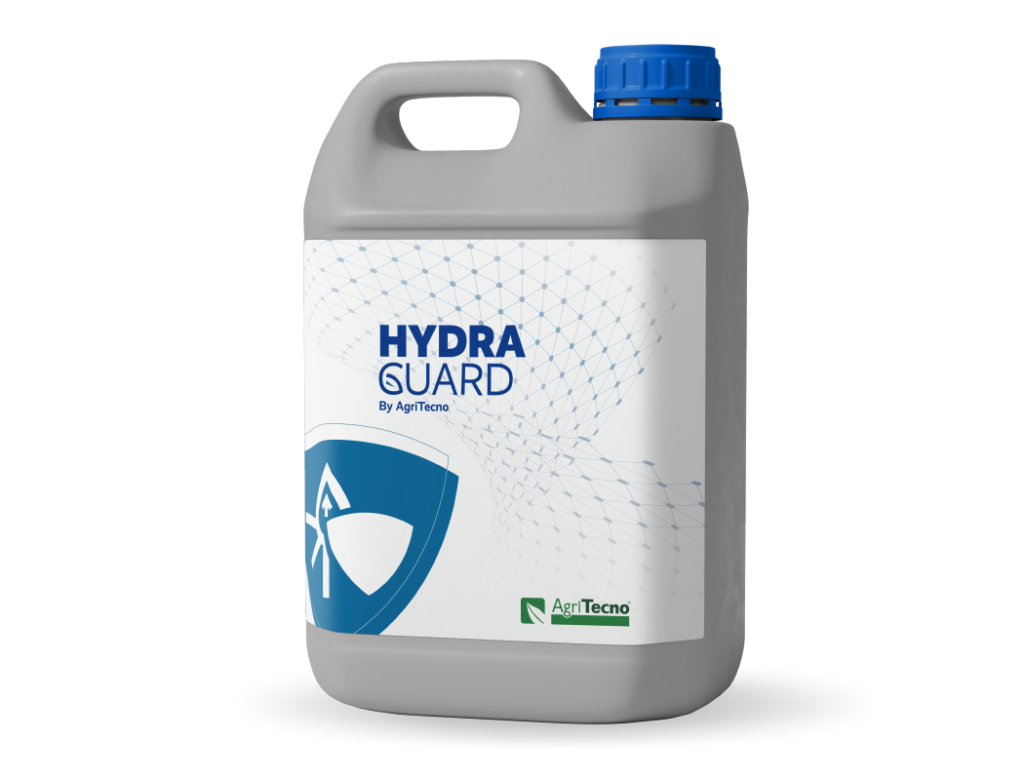 HYDRAGUARD: Moisture Retention for Dry Conditions - Agritecno